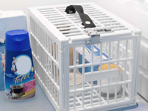 Fridge Safe | Box Locker Réfrigérateur - CoolGift